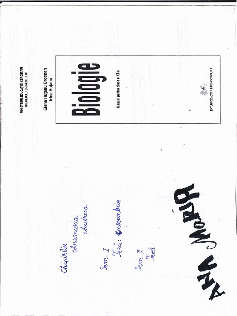 Unraveling Complex Data Patterns Pdf