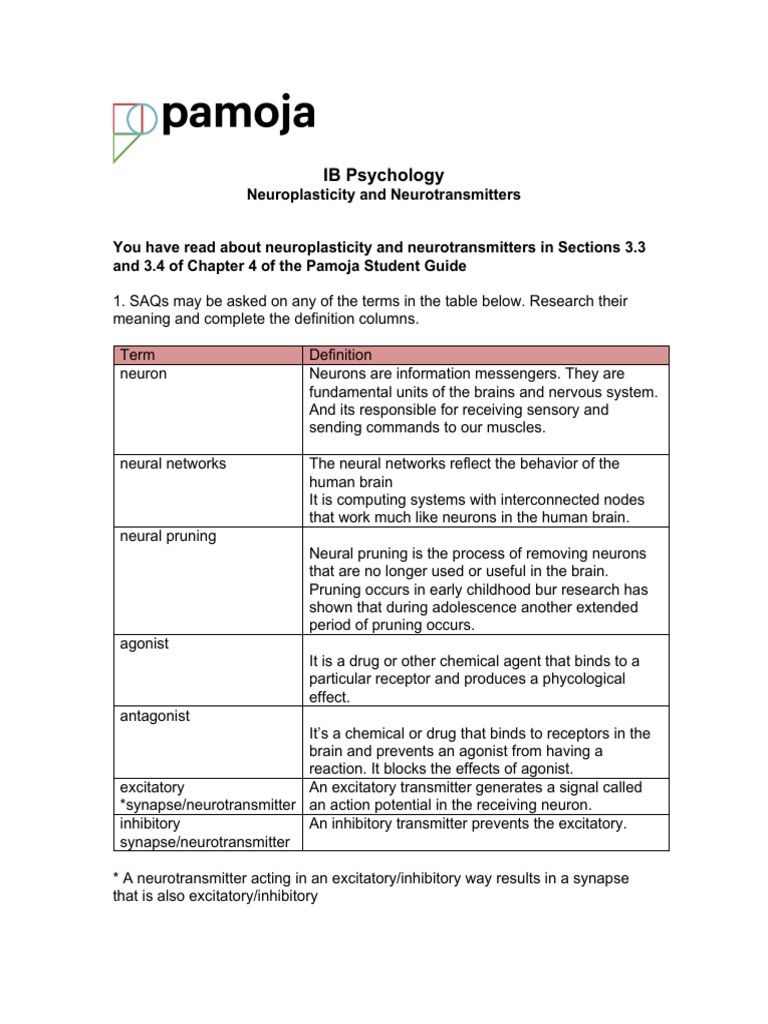 IB Psychology: Neuroplasticity and Neurotransmitters | PDF ...