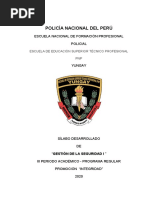 Manual de Documentacion Policial | PDF | Policía | Perú