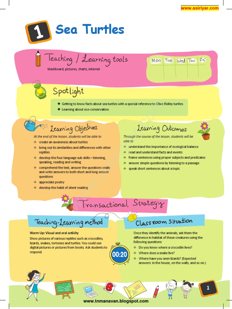 6th English - Teachers Manual | PDF | Sea Turtle | Turtle