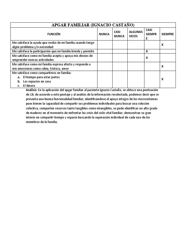 Apgar Familiar | PDF