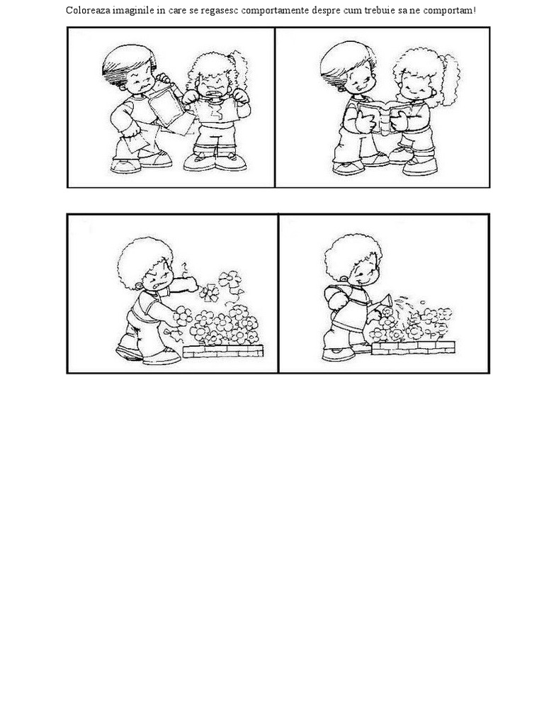 Reguli de Comportament Fisa - Asa - Da - Asa - Nu | PDF