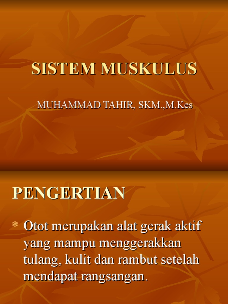 Sistem Muskulus | PDF | Sains & Matematika