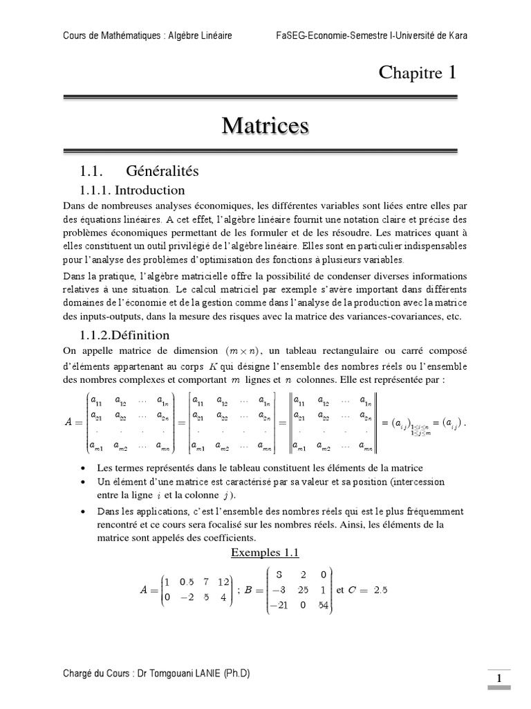 Chapitre 1 Matrices | PDF | Matrice (Mathématiques) | Scalaire (mathématiques)