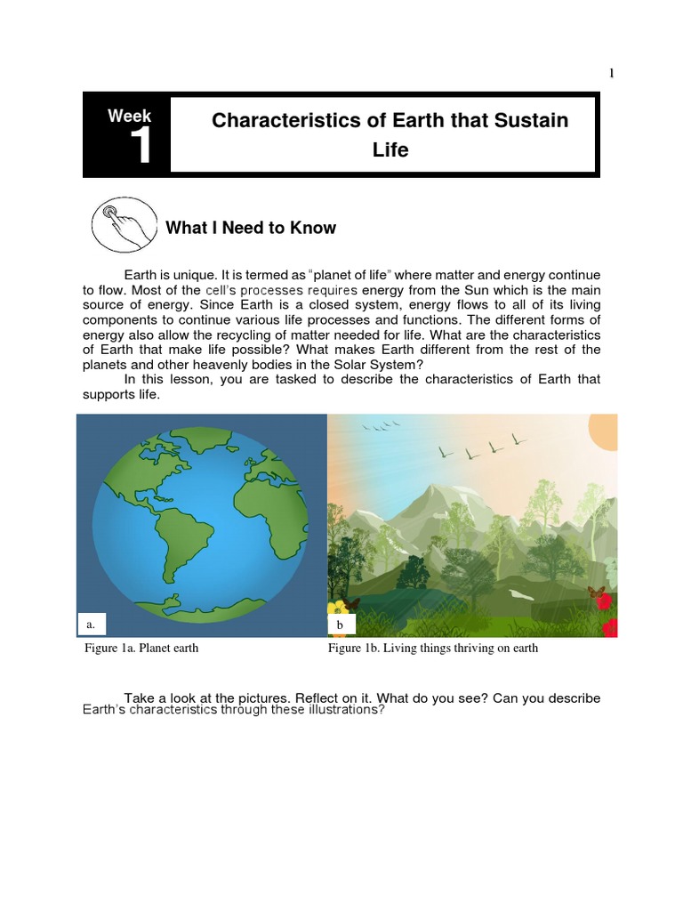 Characteristics of Earth That Sustain Life: What I Need To Know | PDF ...