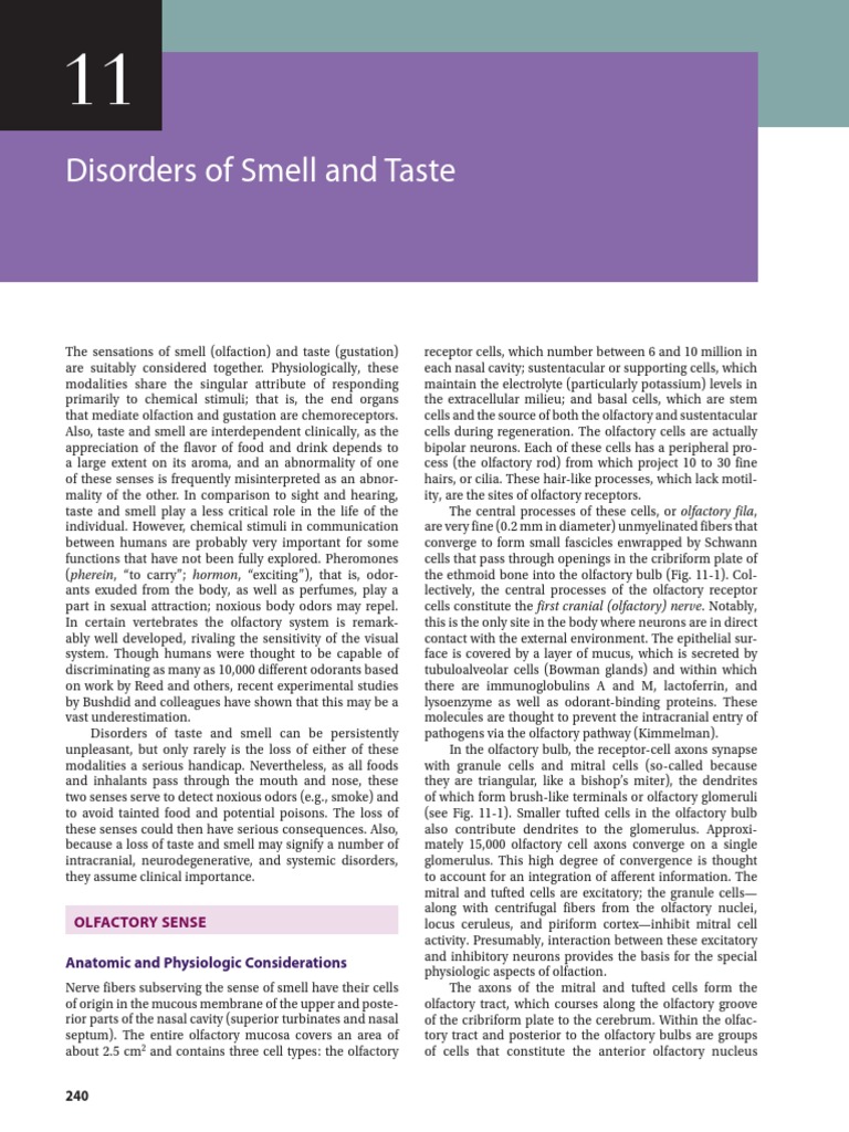 AV Smell Taste | PDF | Olfaction | Senses