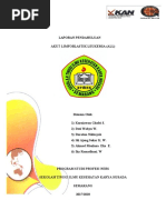 LP Leukemia Limfoblastik Akut | PDF