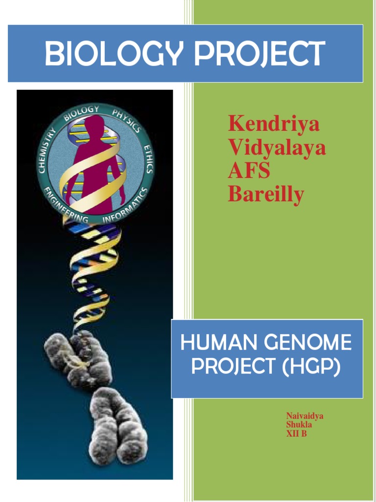 Biology Project: Kendriya Vidyalaya AFS Bareilly | PDF | Dna | Genome