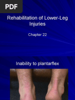 Willits Accellerated Achilles Rehab | PDF | Physical Therapy ...