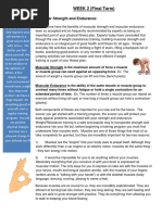 Fundamental Shoulder Exercises | PDF | Anatomical Terms Of Motion | Elbow