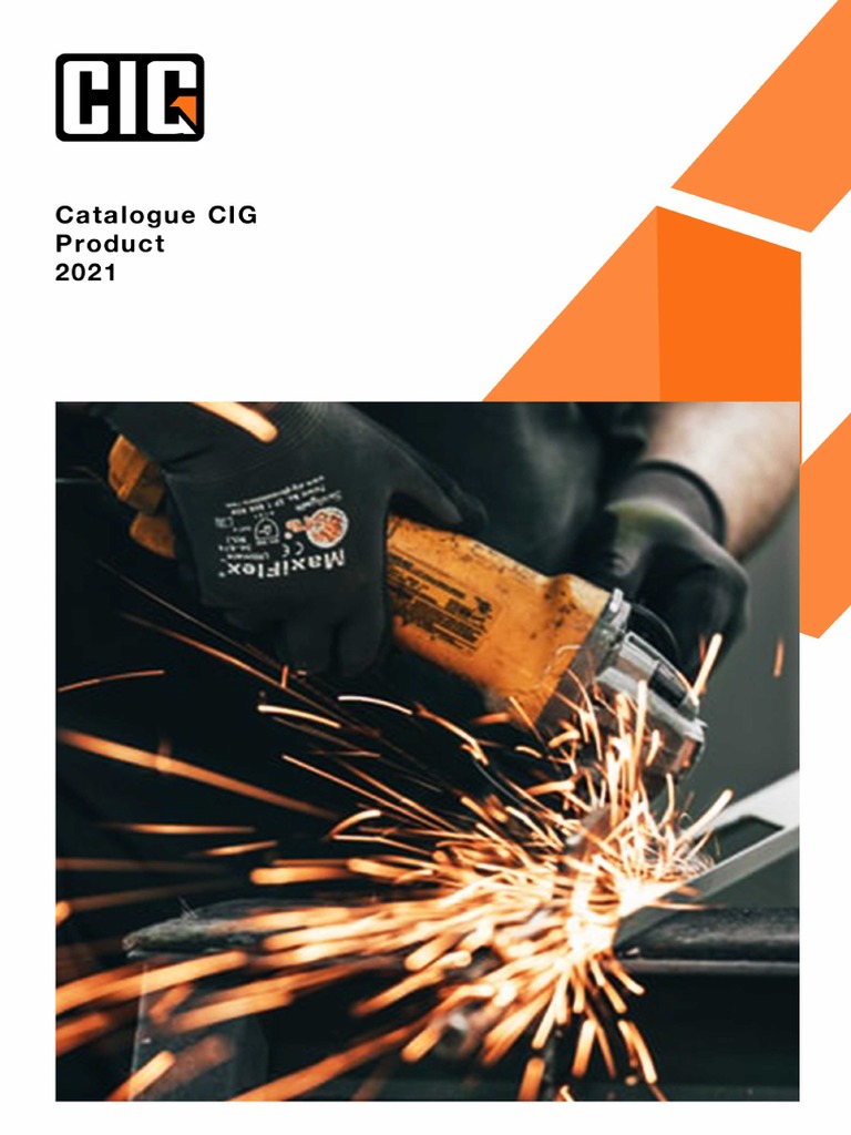 Katalog CIG 2021 (50 ) | PDF