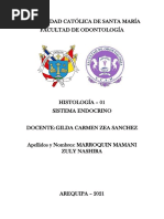 Función y Efectos de la Motilina | PDF | Diarrea | Intestino delgado