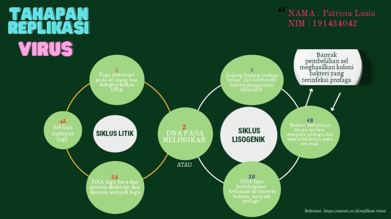 Mind Map Replikasi Virus - Patricia Lusia (191434042) | PDF