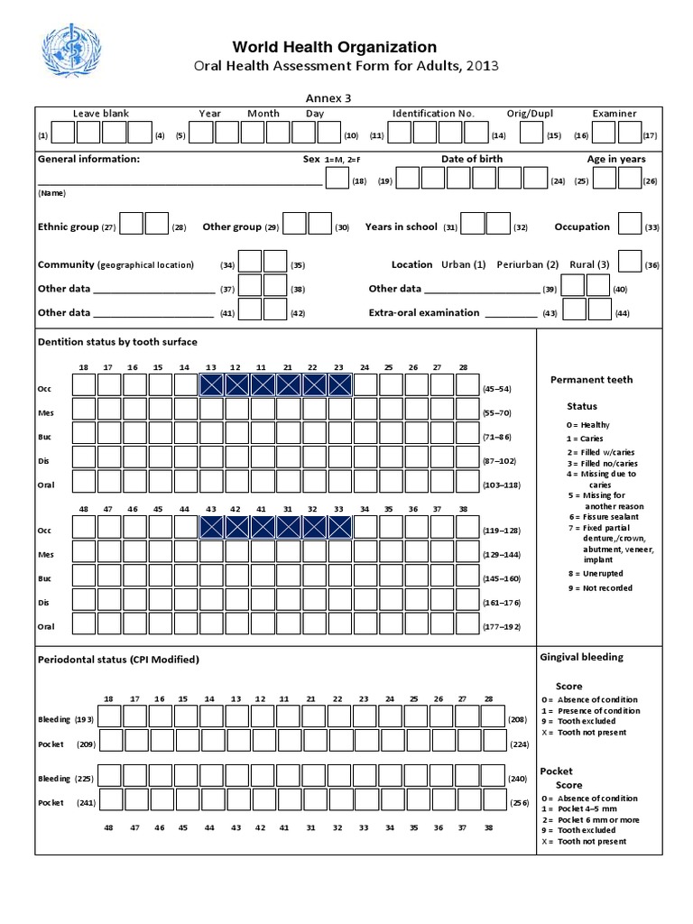 Oral Health Assessment Form For Adults, 2013 | PDF | Dentures | Health Care