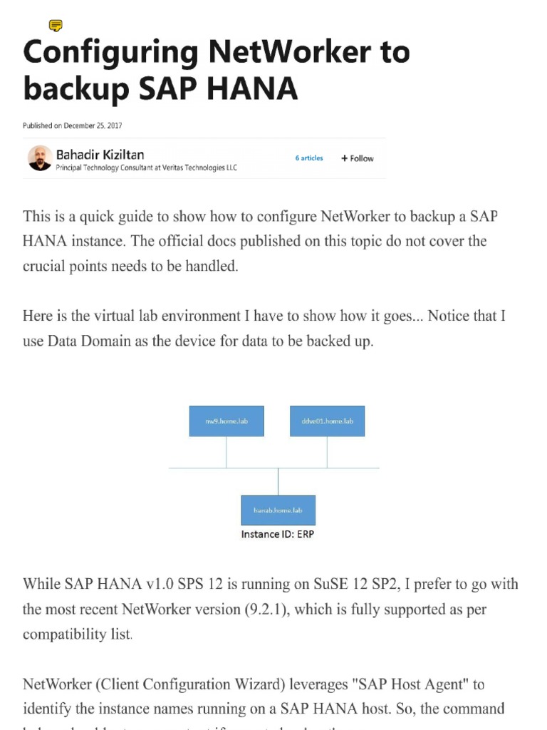 Configuring NetWorker To Backup SAP HANA - LinkedIn | PDF