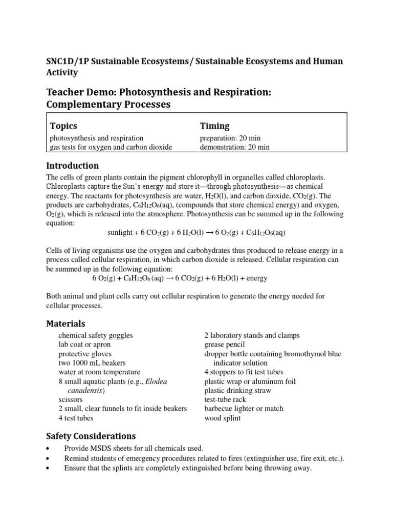 Photosynthesis and Respiration Demo | PDF | Photosynthesis | Carbon Dioxide