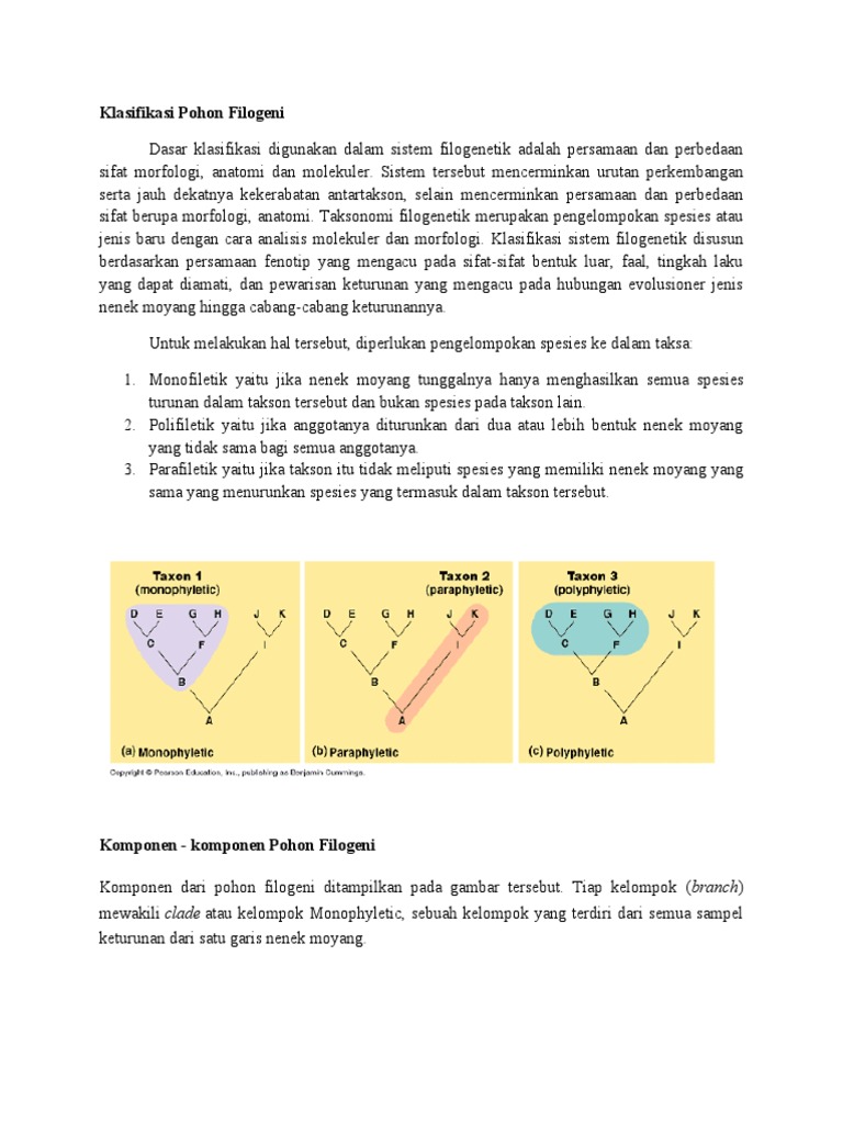 Klasifikasi dan Komponen Pohon Filogeni | PDF | Ilmu Sosial | Seni ...