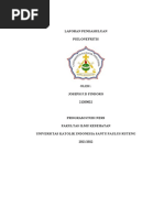 LP Dan Askep Infeksi Saluran Kemih (ISK) | PDF
