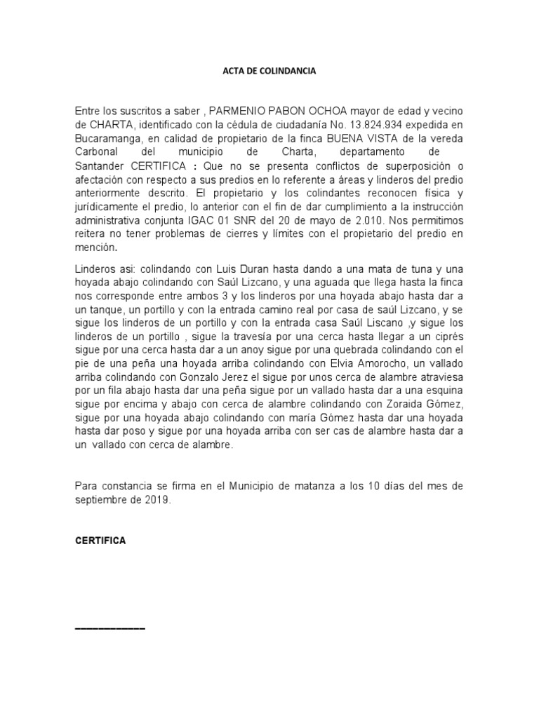 Acta De Colindancia Pdf
