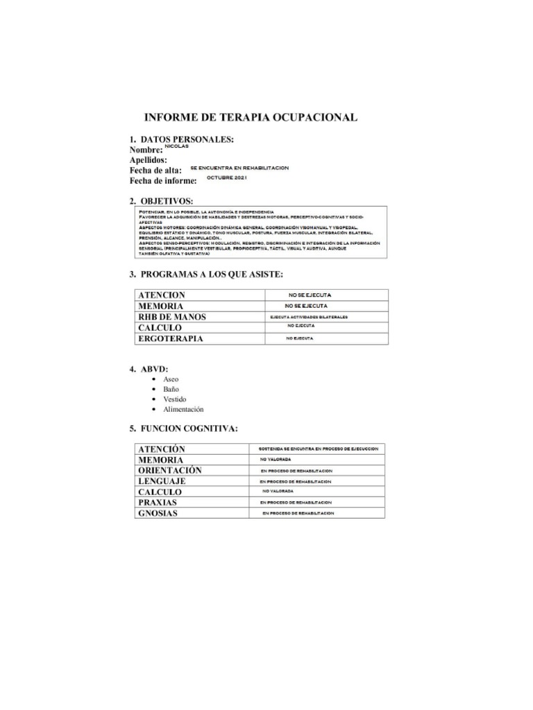 Informe de Terapia Ocupacional 1 1024 | PDF