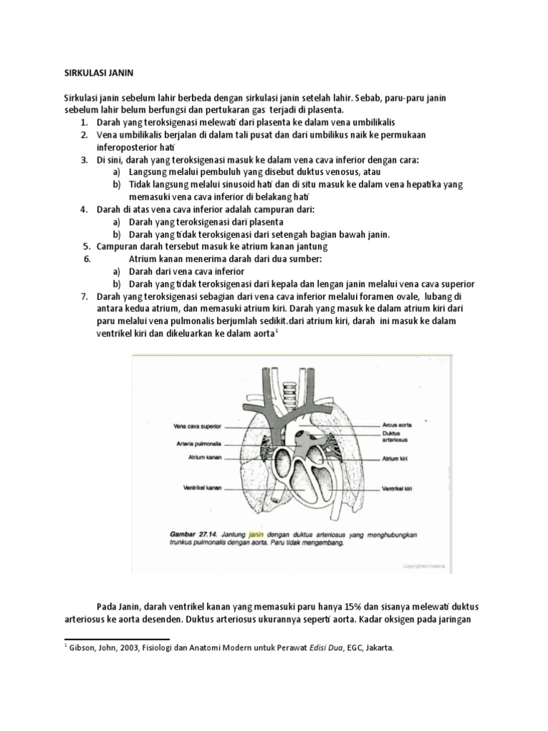 Sirkulasi Janin dan Perubahannya | PDF | Sains & Matematika | Kesehatan Holistik