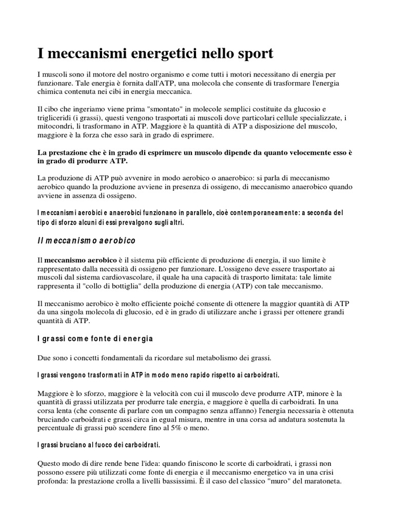 I Meccanismi Energetici Nello Sport | PDF