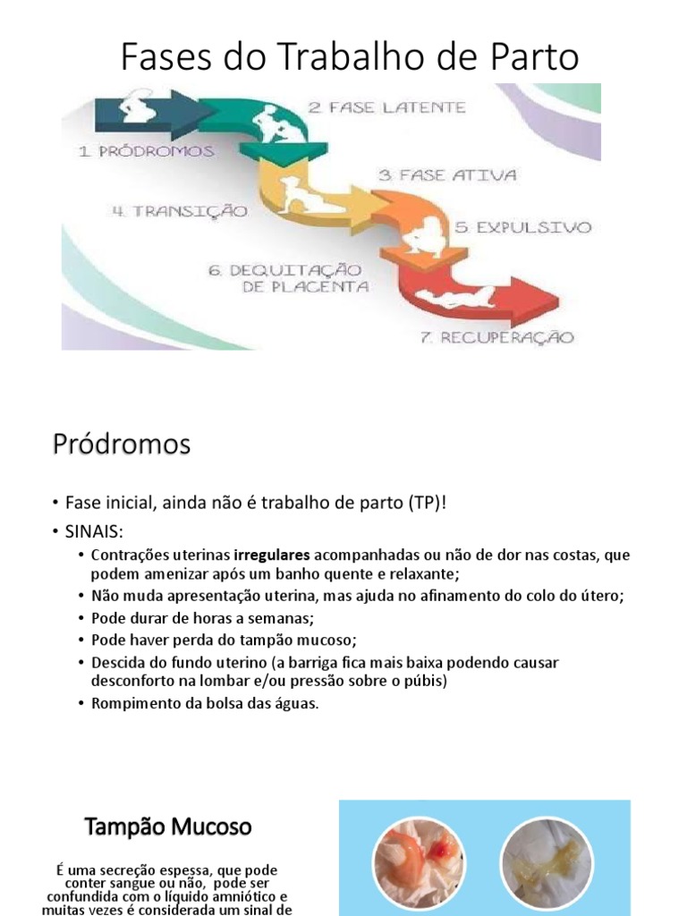 Fases Do Trabalho de Parto - 2020 | PDF | Parto | Gravidez