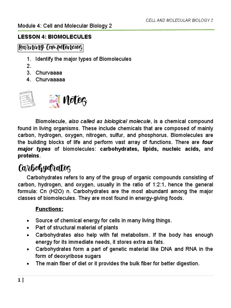 Lesson 4: Biomolecules: Major Types of Biomolecules: Carbohydrates ...