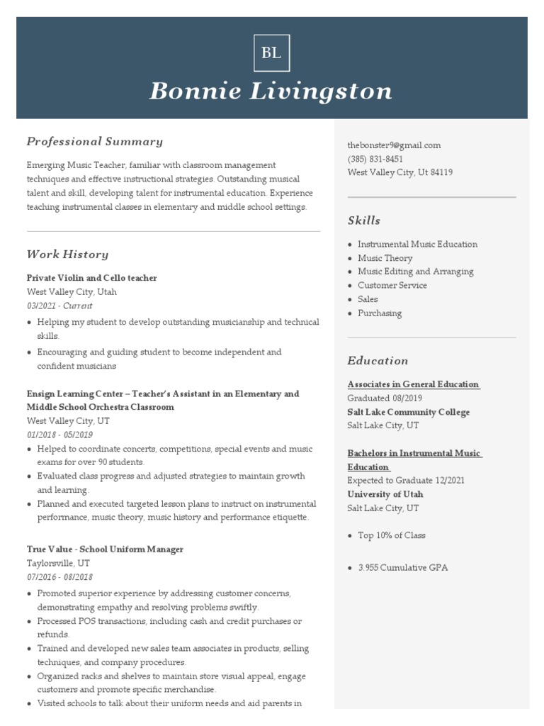 Professional Resume | PDF | Teachers | Sales