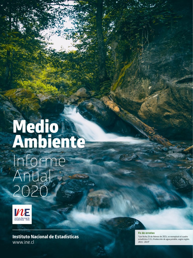 Informe Anual de Medio Ambiente 2020 (Versión Actualizada Al 25 de Febrero de 2021) | PDF ...