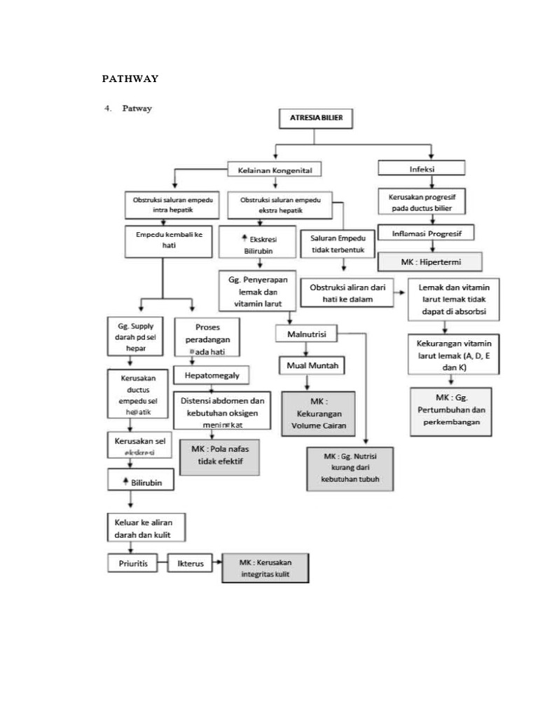 Pathway Dan Diagnosa Kep Atresia Bilier | PDF