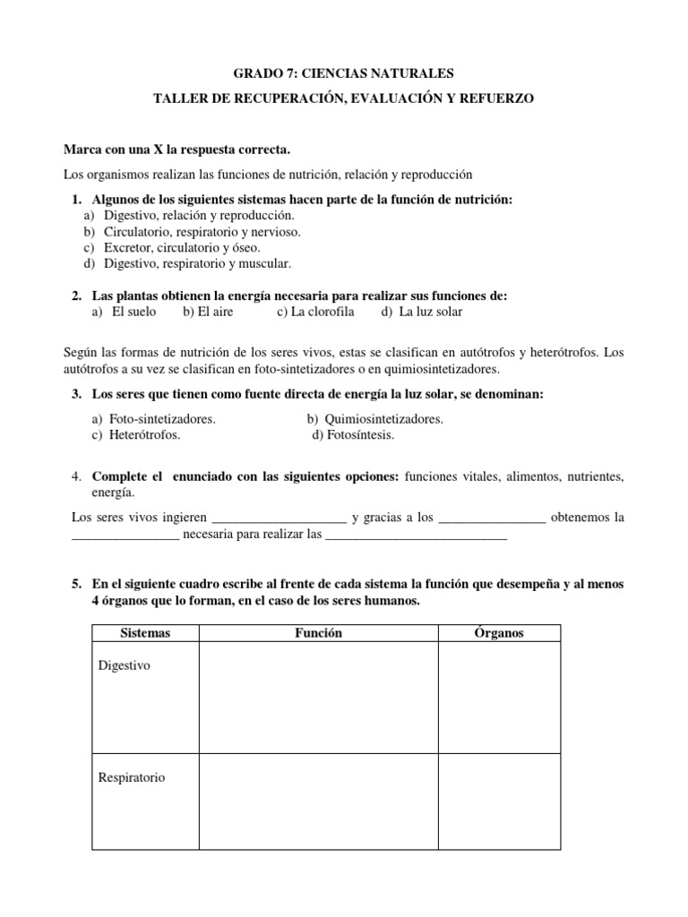 Taller de Ciencias Naturales Grado 7 | PDF | Dieta y nutrición | Nutrición