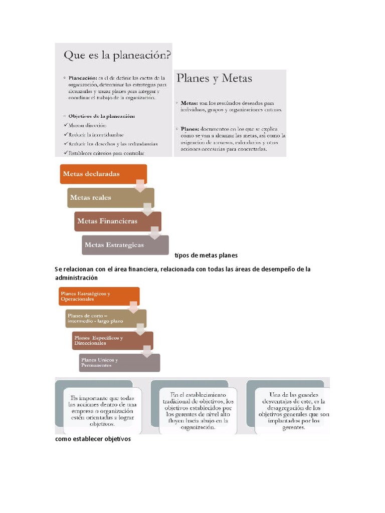 Tipos de Metas Planes | PDF