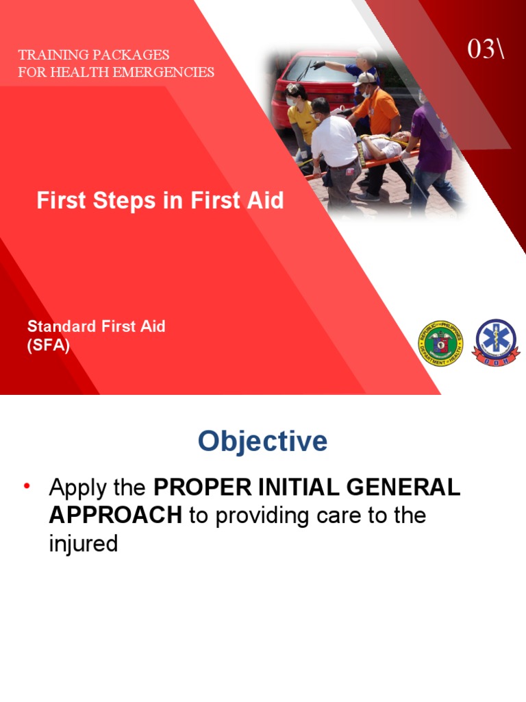 Basic Life Support 1 Standard First Aid | PDF | First Aid | Medical ...