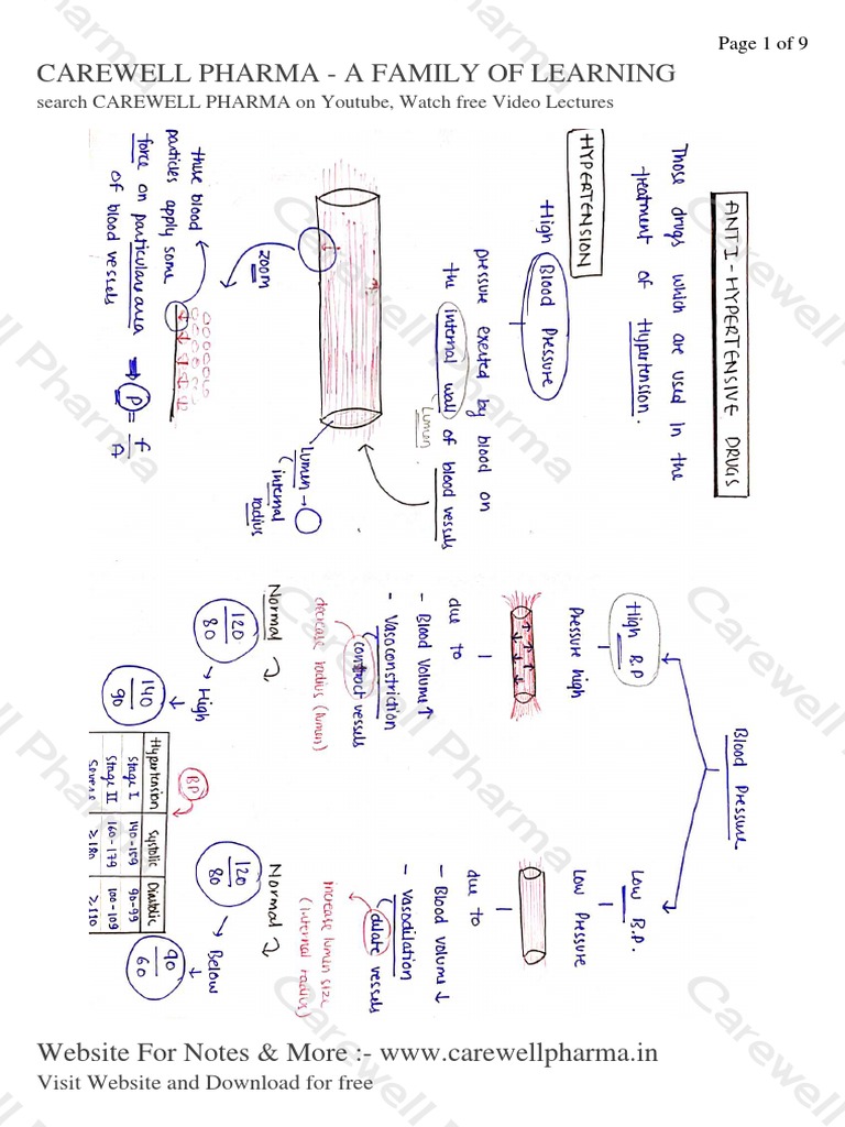 Antihypertensive Drugs By Carewell Pharma Pdf World Wide Web