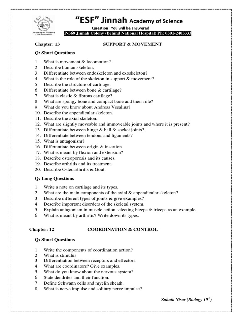 Chapter 12,13 | PDF | Skeleton | Nervous System