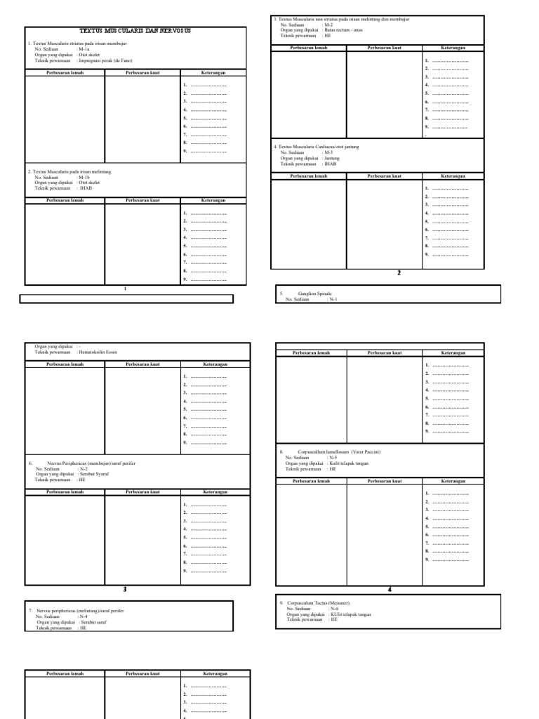 Analisis Textus Muscularis dan Nervosus | PDF