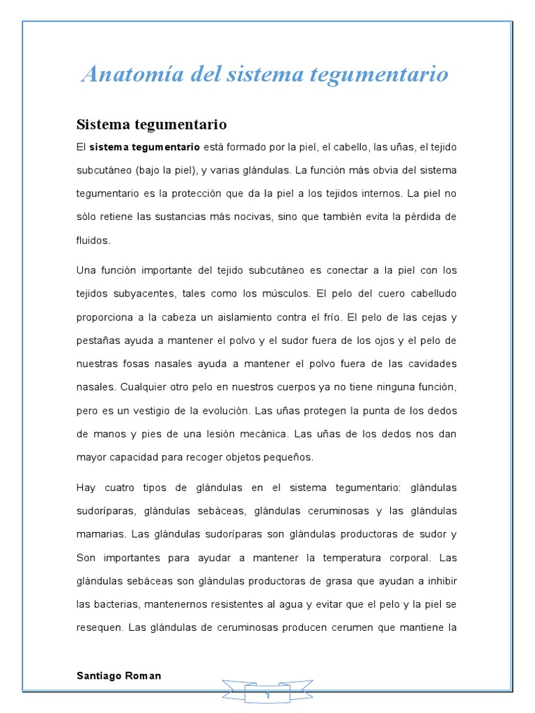 Anatomía Del Sistema Tegumentario | Descargar gratis PDF | Piel | Especialidades Medicas
