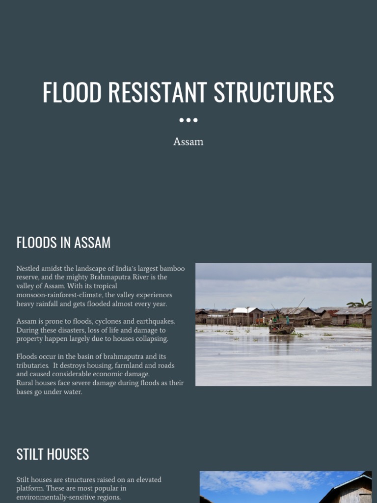 Stilt Houses: Assam's Flood Resilience | PDF | Flood | Physical Geography