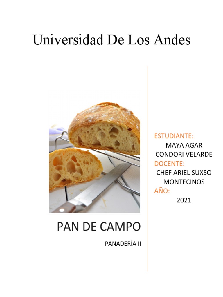Historia y Receta del Pan de Campo | PDF | Panes | Trigo