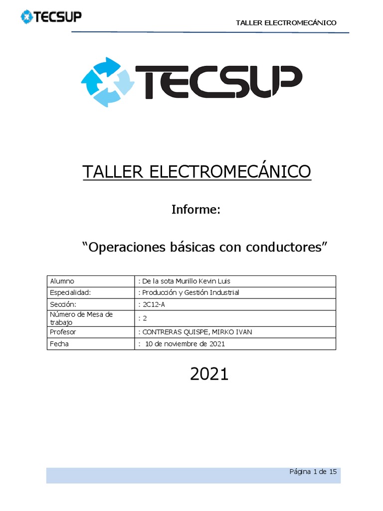 Modelo de Informe Rev01 | Descargar gratis PDF | Aislador (Electricidad) | Corriente eléctrica