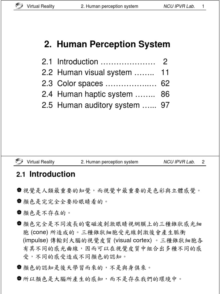 Human Perception System | PDF | Color | Ear