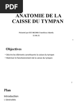 Anatomie du Labyrinthe Osseux de l'Oreille | PDF | Système vestibulaire ...