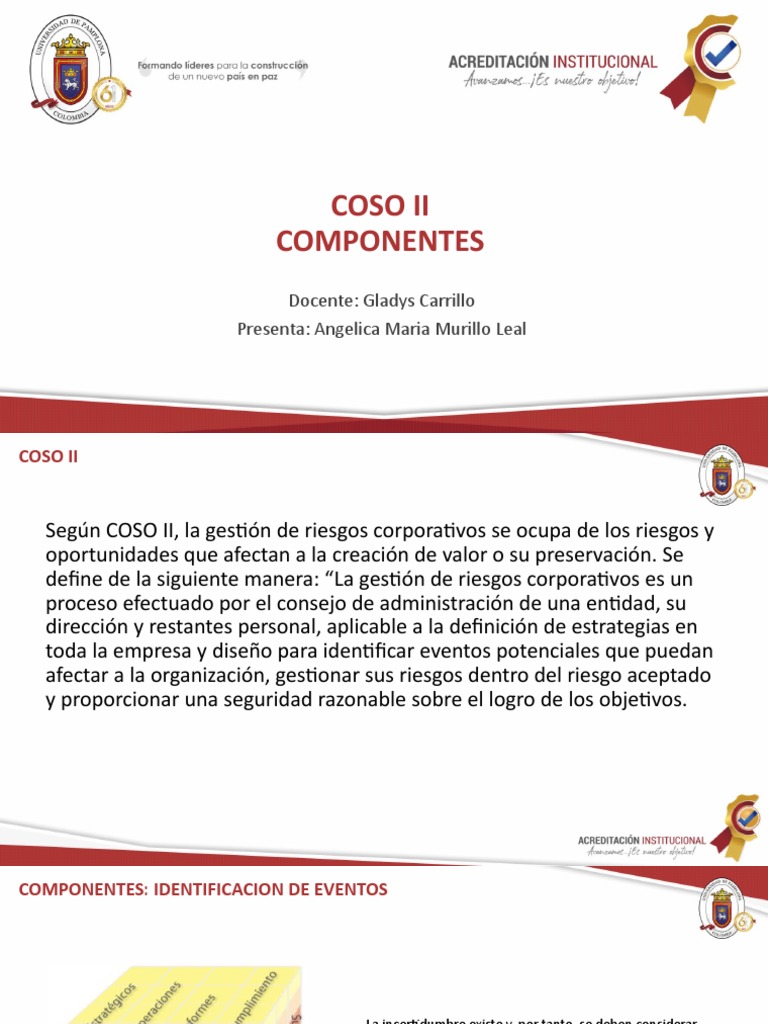 Coso Ii Componentes | PDF | Evaluación de riesgos | Riesgo