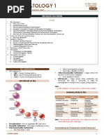 Red Blood Cell Diagram | PDF | Red Blood Cell | Blood