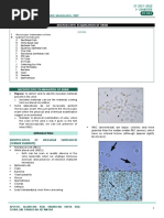 Stool Concentration Method | PDF | Human Feces | Staining