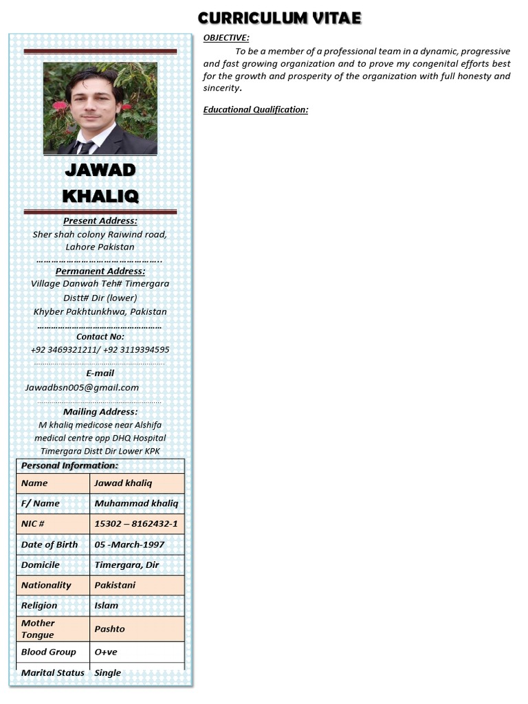 Jawad CV 2 | PDF | Pakistan