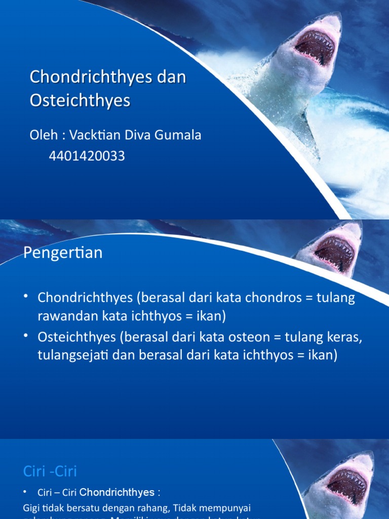 Ciri dan Klasifikasi Ikan Chondrichthyes | PDF | Ilmu Sosial | Sains ...
