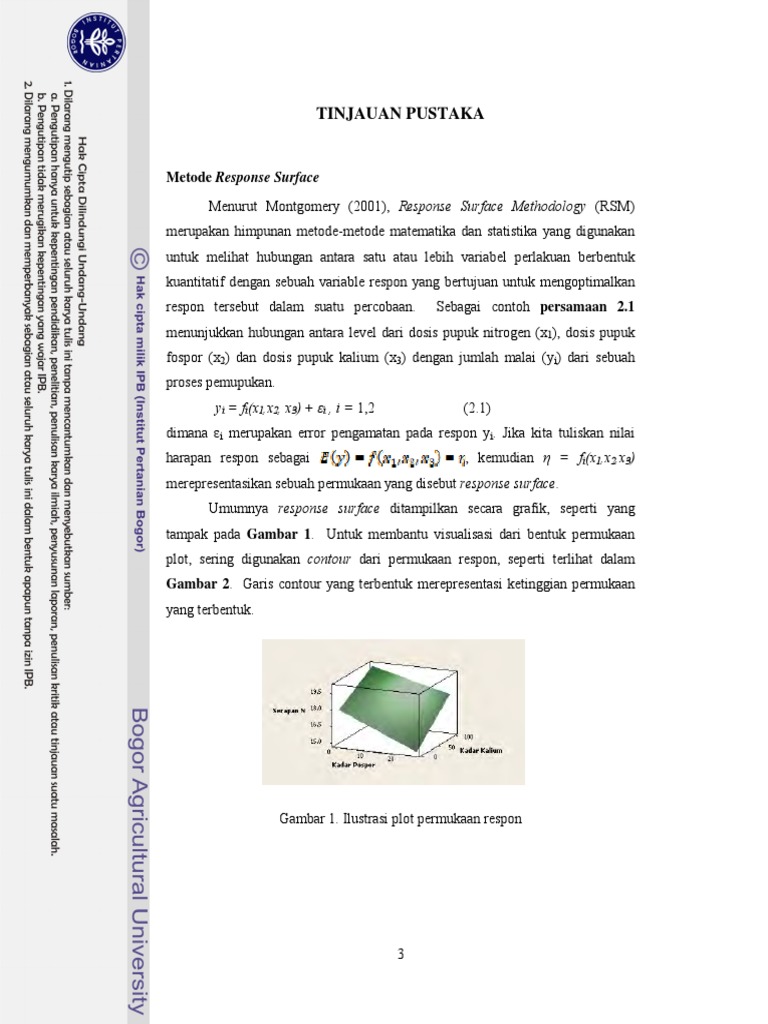 Tinjauan Pustaka RSM | PDF