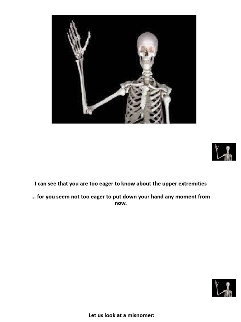 The Upper Limb Anatomy | PDF | Hand | Arm